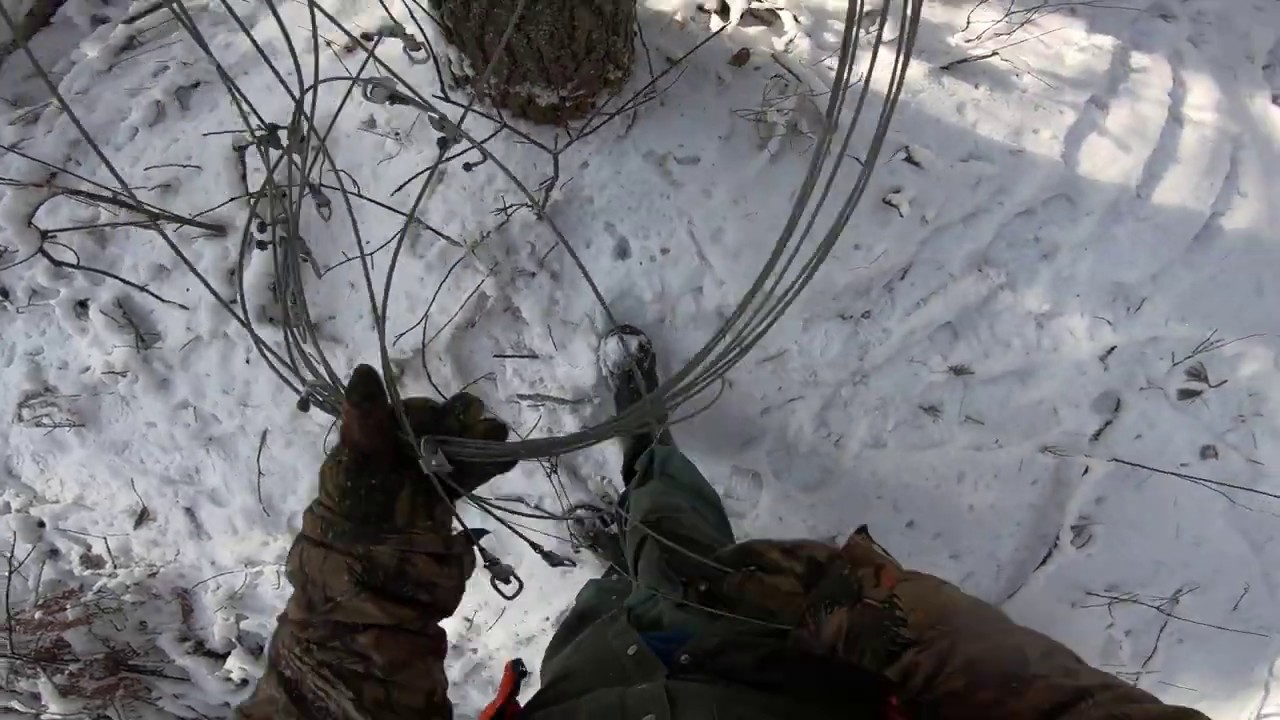 Trapping 101.7 ep 217. Oh look wolf snares - YouTube