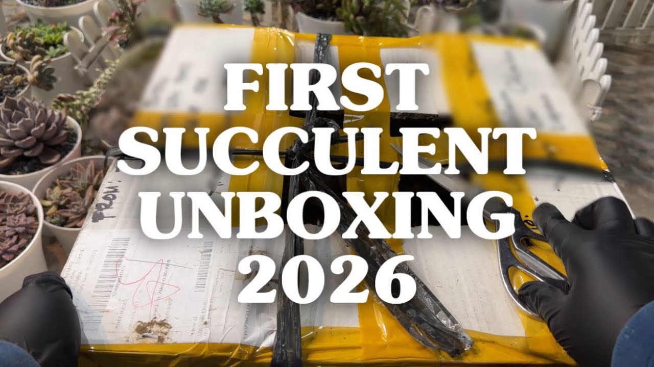 MARUPOK! FIRST SUCCULENT UNBOXING 2026 - YouTube