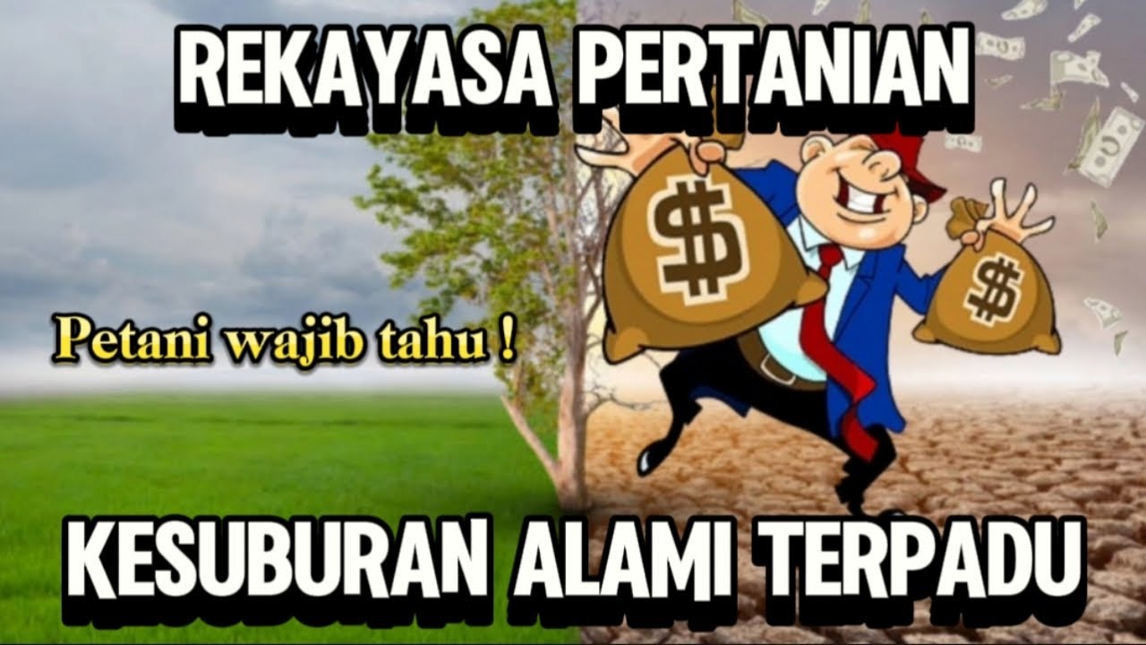 Rekayasa Pertanian - Pengelolaan Intensif Kesuburan Alami Terpadu - YouTube