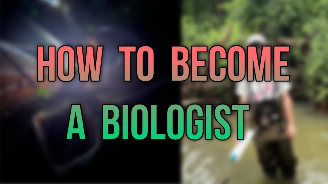 Steps To Becoming A Biologist , How To Become a Biologist – OQWCDG