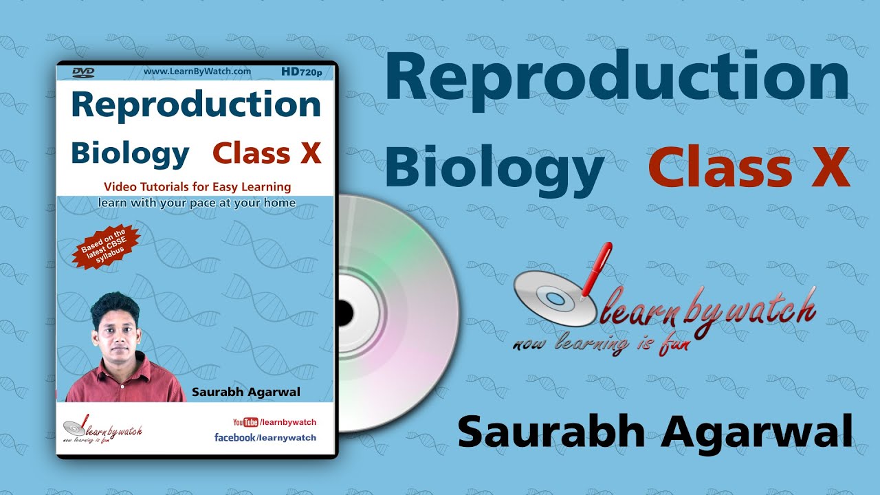 Reproduction Biology Class 10 Introduction Video - YouTube