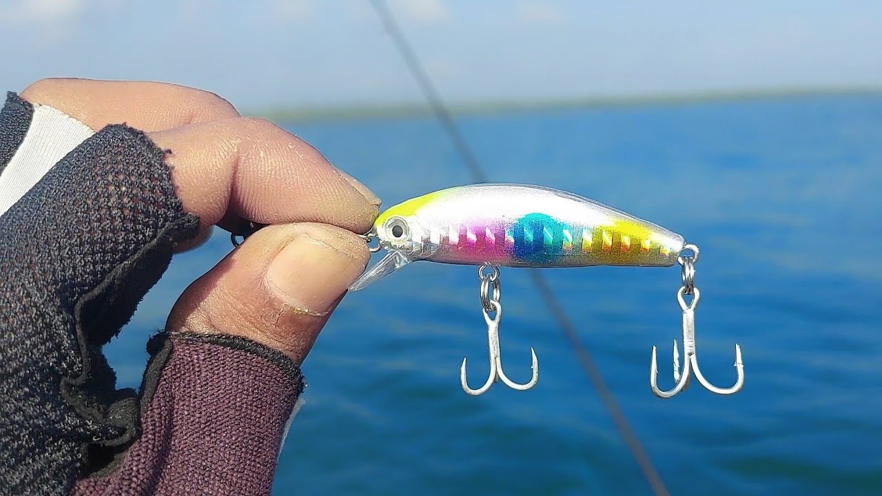 SPOT IDAMAN 😍 MICRO JIG 10 GRAM & MINNOW 6 GRAM LANGSUNG DISIKAT BABON ...