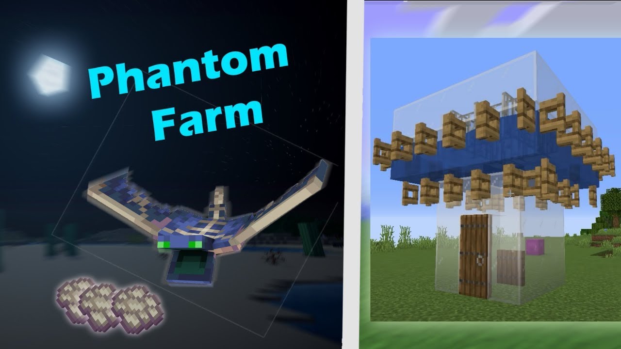 Is this a phantom farm?? | { Minecraft #14 } - YouTube