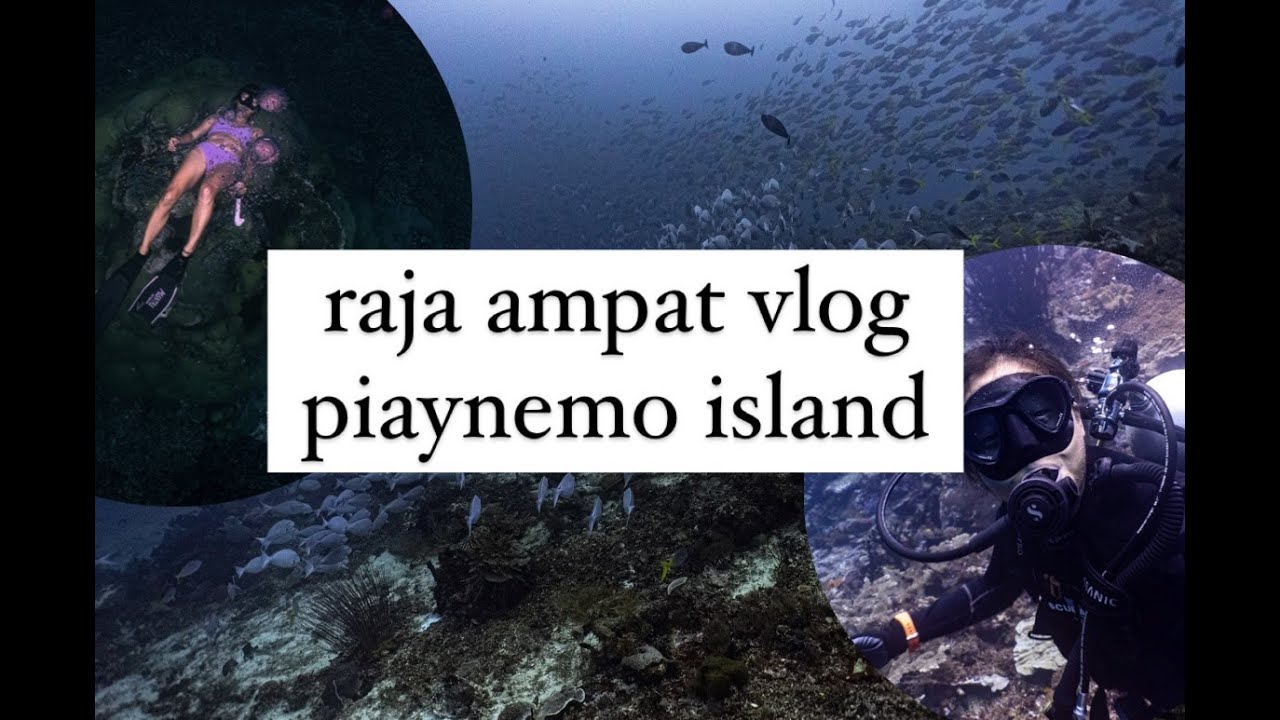 Best dive site in Raja Ampat? Piaynemo Island Vlog | 四皇群島之旅 2 - YouTube