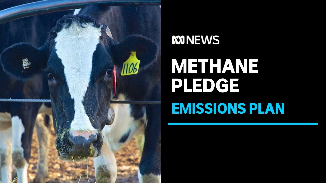 Australia set to reduce methane emissions | ABC News - YouTube