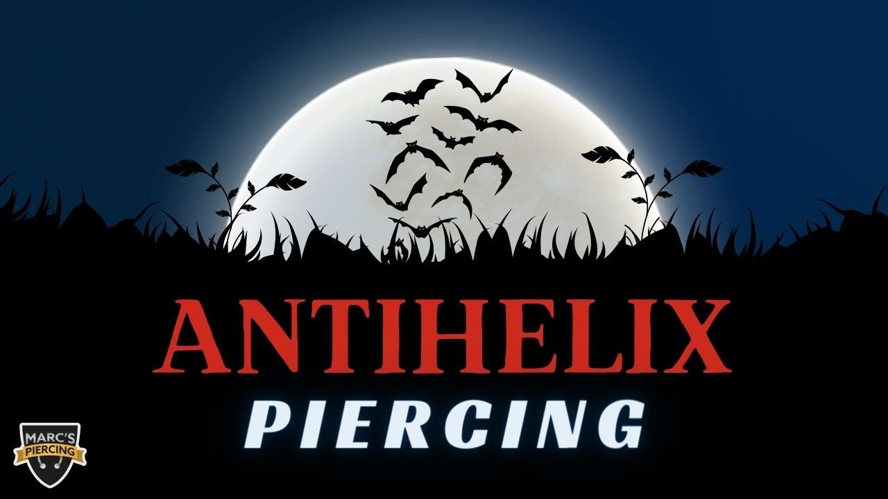 Maria TASH Special Antihelix 💎! 💉Marc's Piercing TV - YouTube