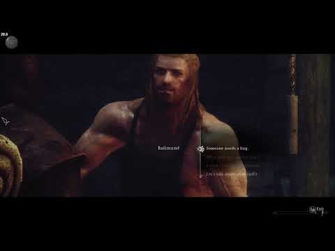 SKYRIM: Squashing Bugs in Riften