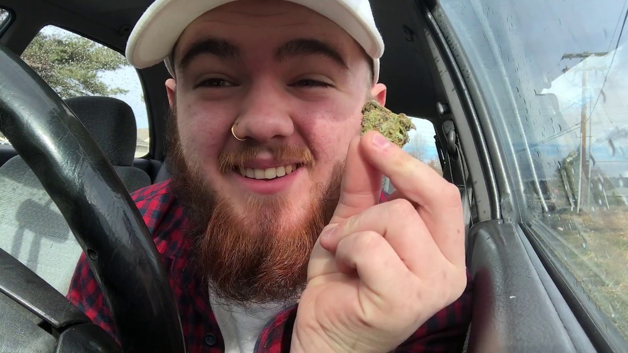 HOMEGROWN OBAMA KUSH: The HYPE or Nothing Special?!: Review - YouTube
