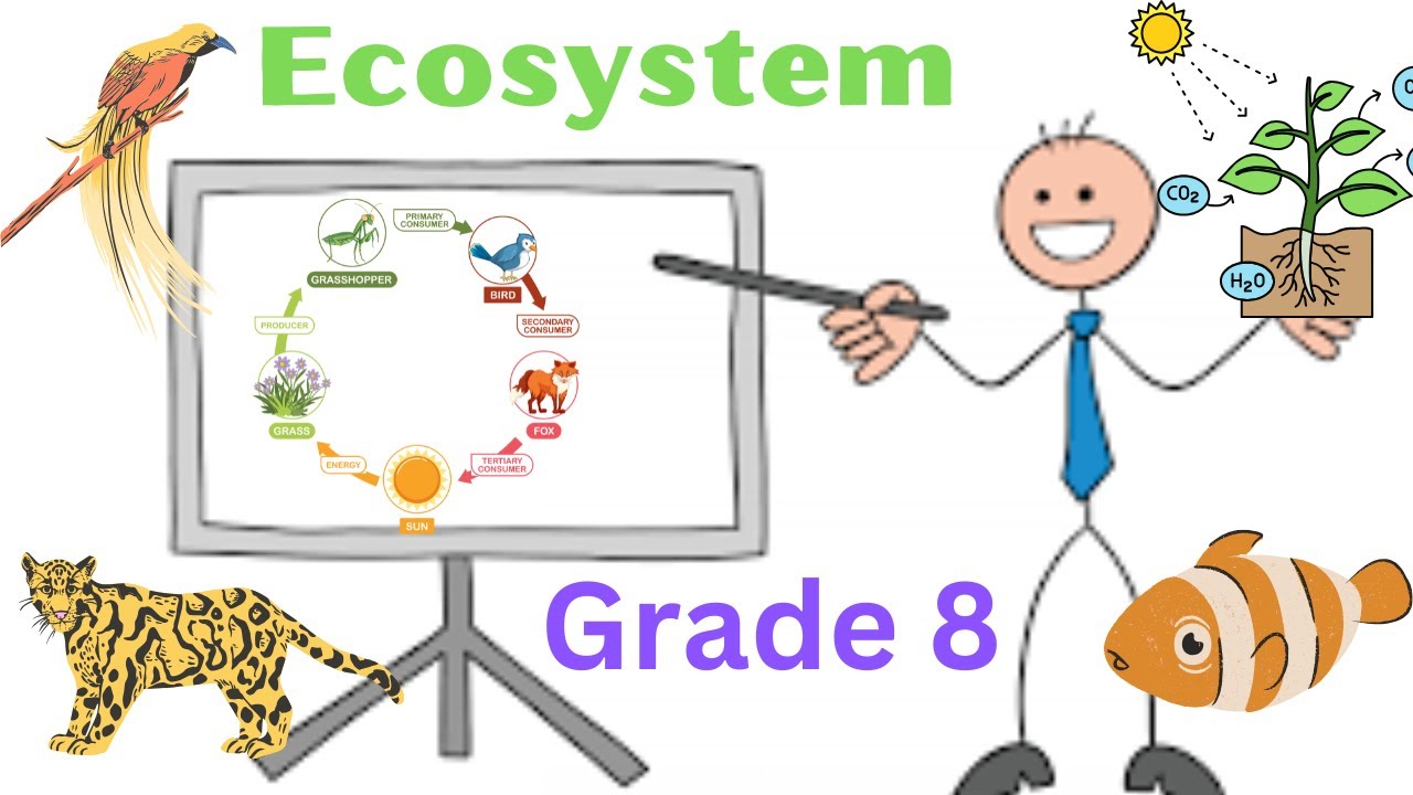 General Science Ecosystem Grade 8 Part 1 - YouTube