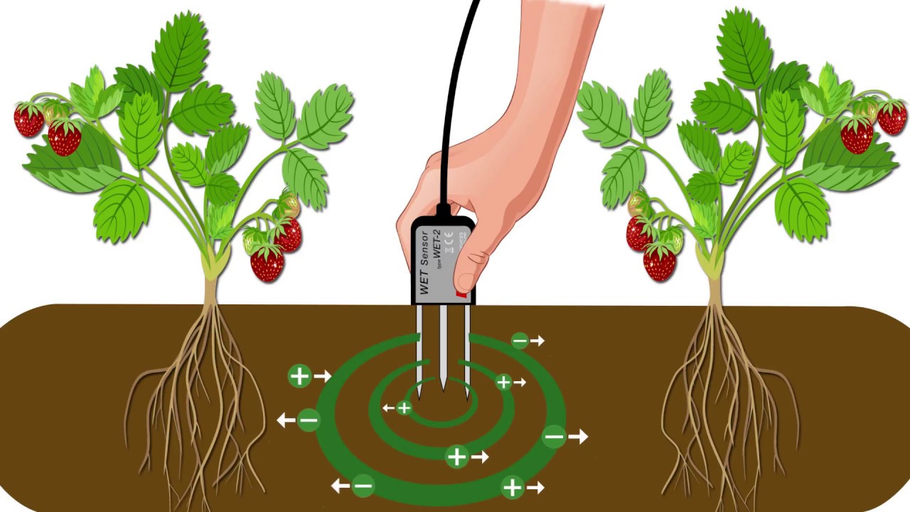 Delta-T Devices WET Kit Video (featuring the WET Sensor) - YouTube