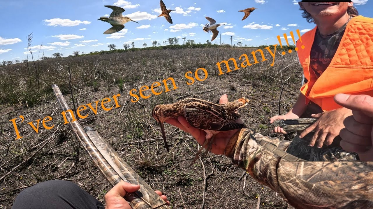 Insane hunt!!! (Florida public land snipe hunt) SO many birds, HORRIBLE ...