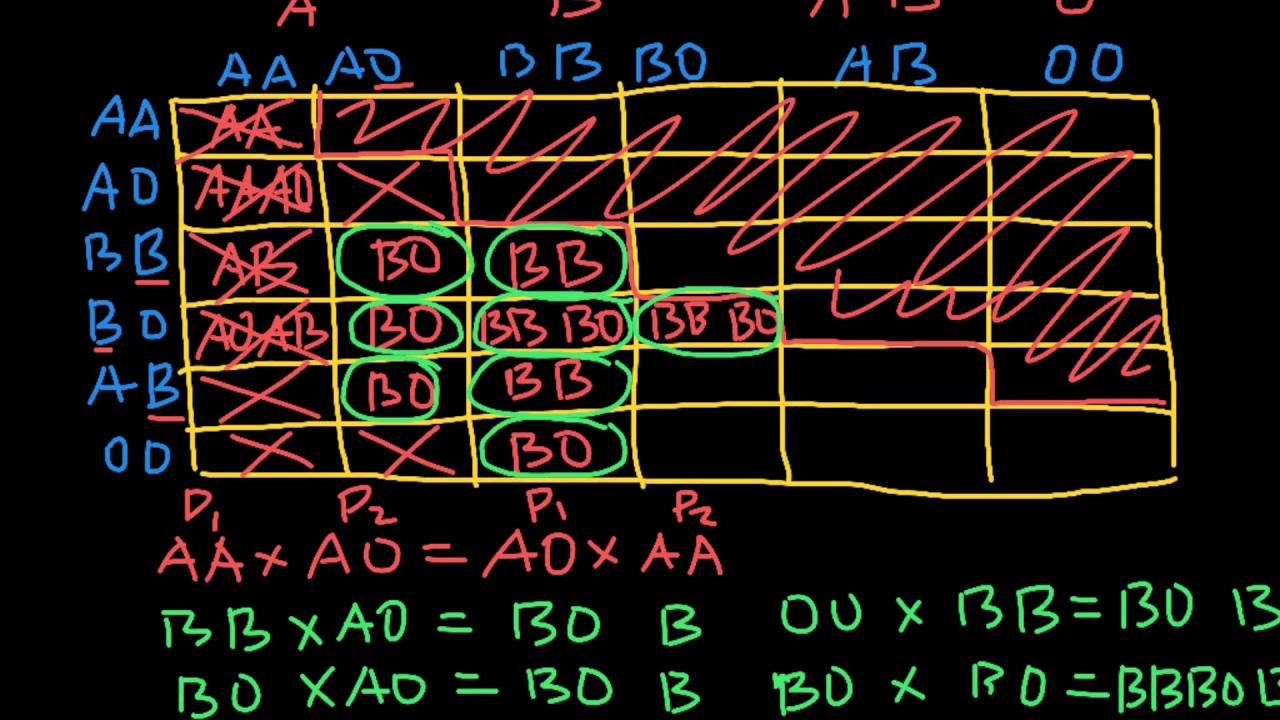 Blood types, genotypes, phenotypes and crosses - YouTube