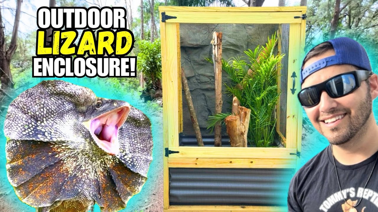 DIY Outdoor Lizard Enclosure for a FRILLED DRAGON! (PART 2) - YouTube