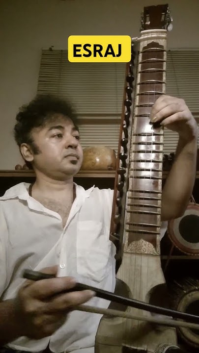 Raga Bageshree on ESRAJ #multiinstrumentalist #esraj #instrumentalmusic #indianmusic - YouTube