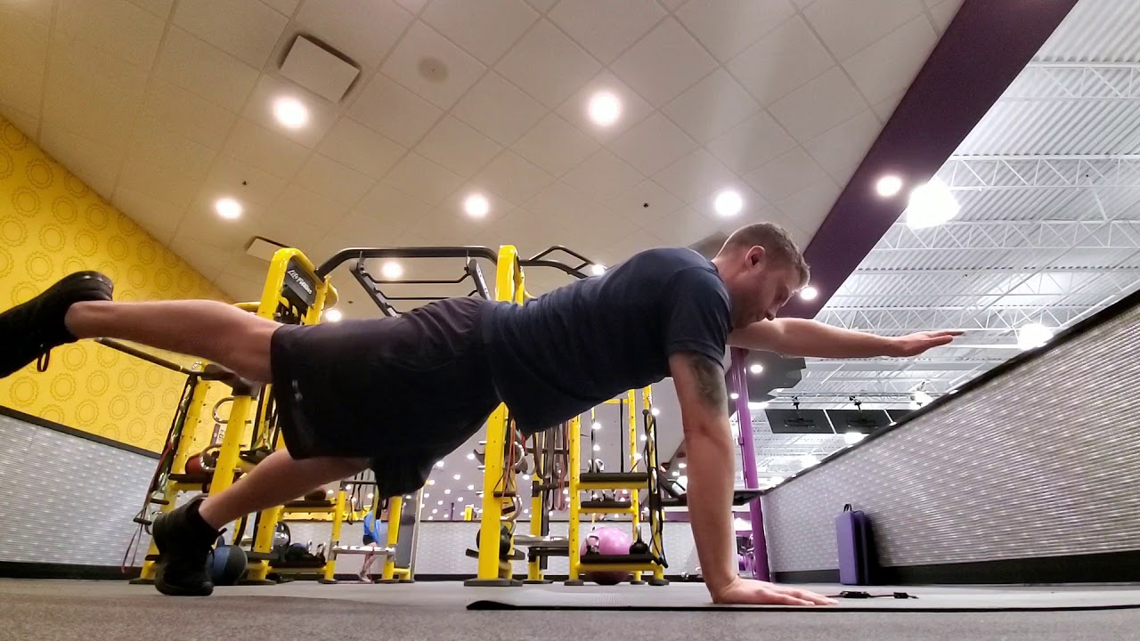 Bird dog plank w/10 sec holds to cross under toe touch (100th vid ...