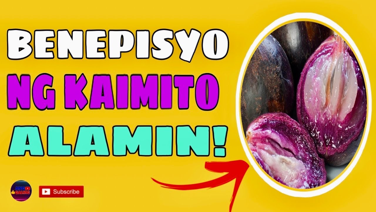 KAIMITO ( STAR APPLE ) - YouTube