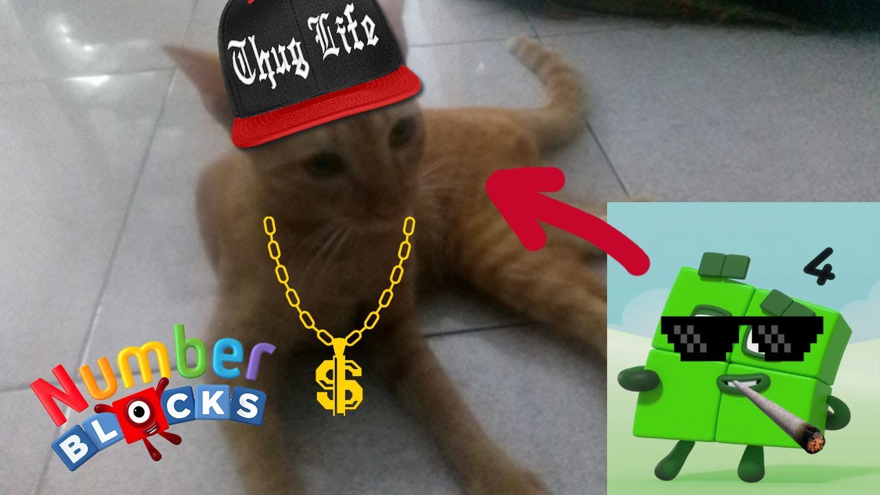 CAT REACTION WITH ANNOYING NUMBERBLOCKS 4 - YouTube