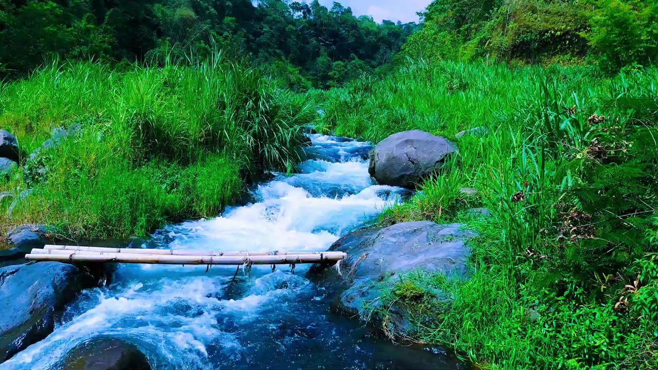 Serene River Flow Sound for Relaxation & Focus and sleep ,No Bird Sound ...