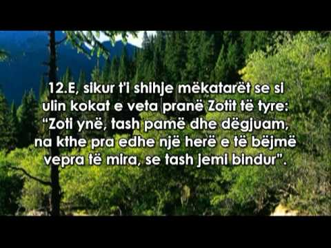 Mishary Alafasy-Surja Sexhde(me titra shqip) - YouTube