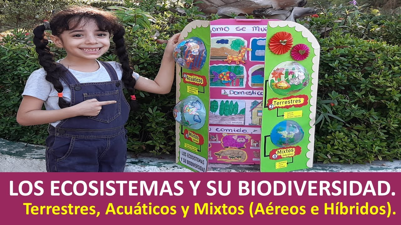 🌍💧 Los ecosistemas y su biodiversidad | Terrestres, acuáticos y mixtos ...