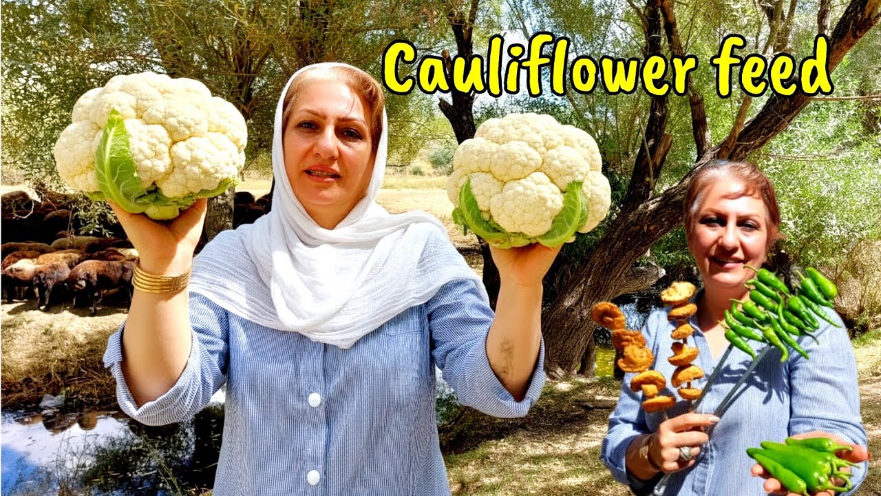 Tasty Fire Foods Cuisine in the heart of nature - YouTube