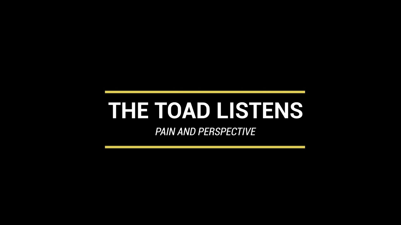 The Toad Listens | Pain & Perspective | Part Two | Stories - YouTube