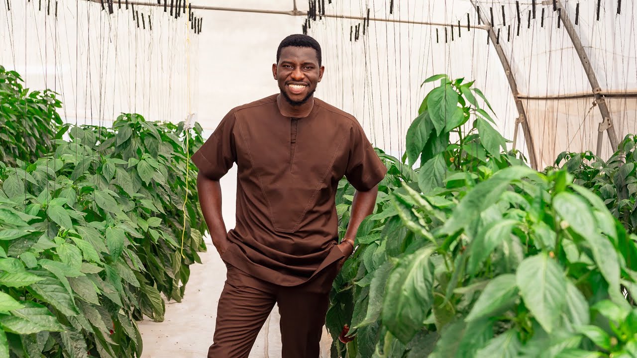 Building sustainable agribusinesses and food systems in Ghana: Alumnus ...