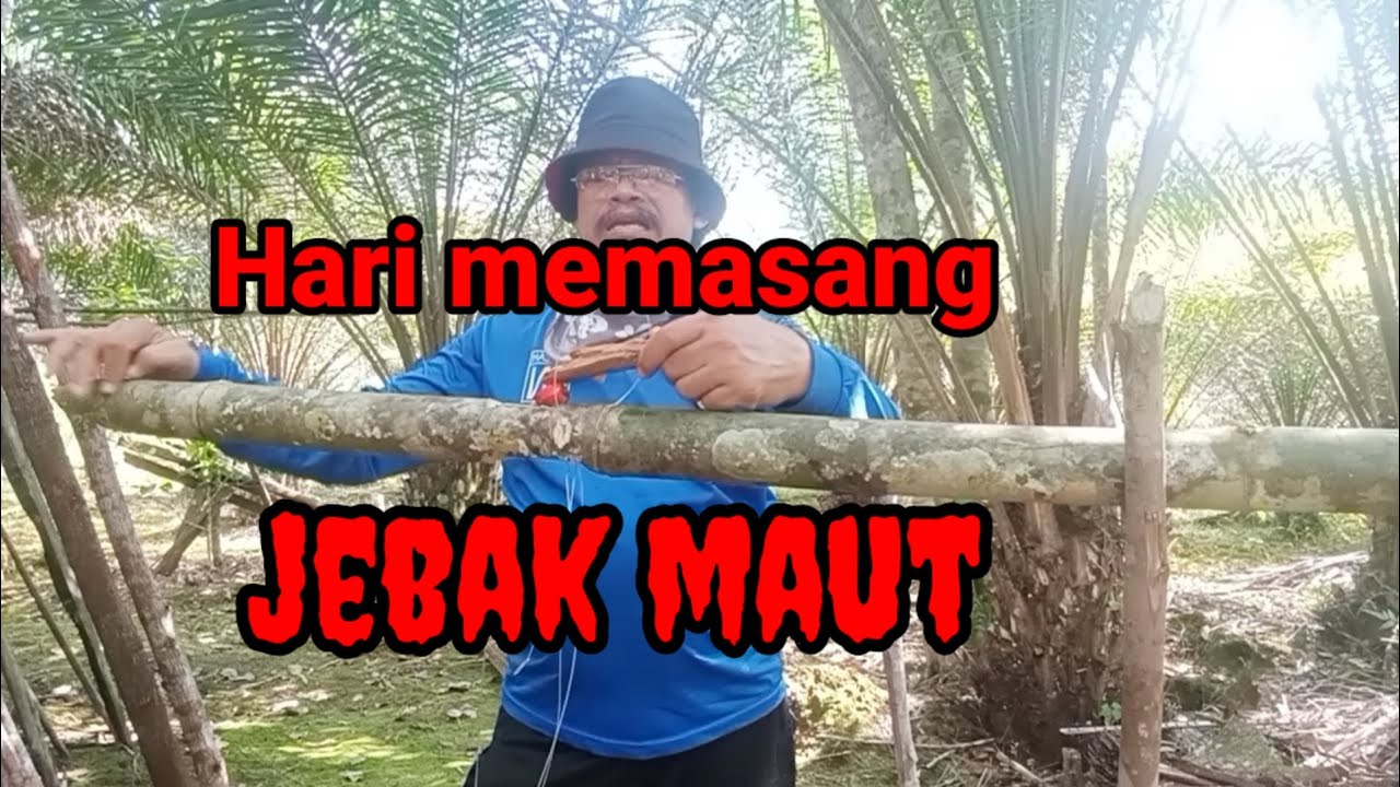 hari memasang jebak maut// mejebak tupai di Sibu. - YouTube