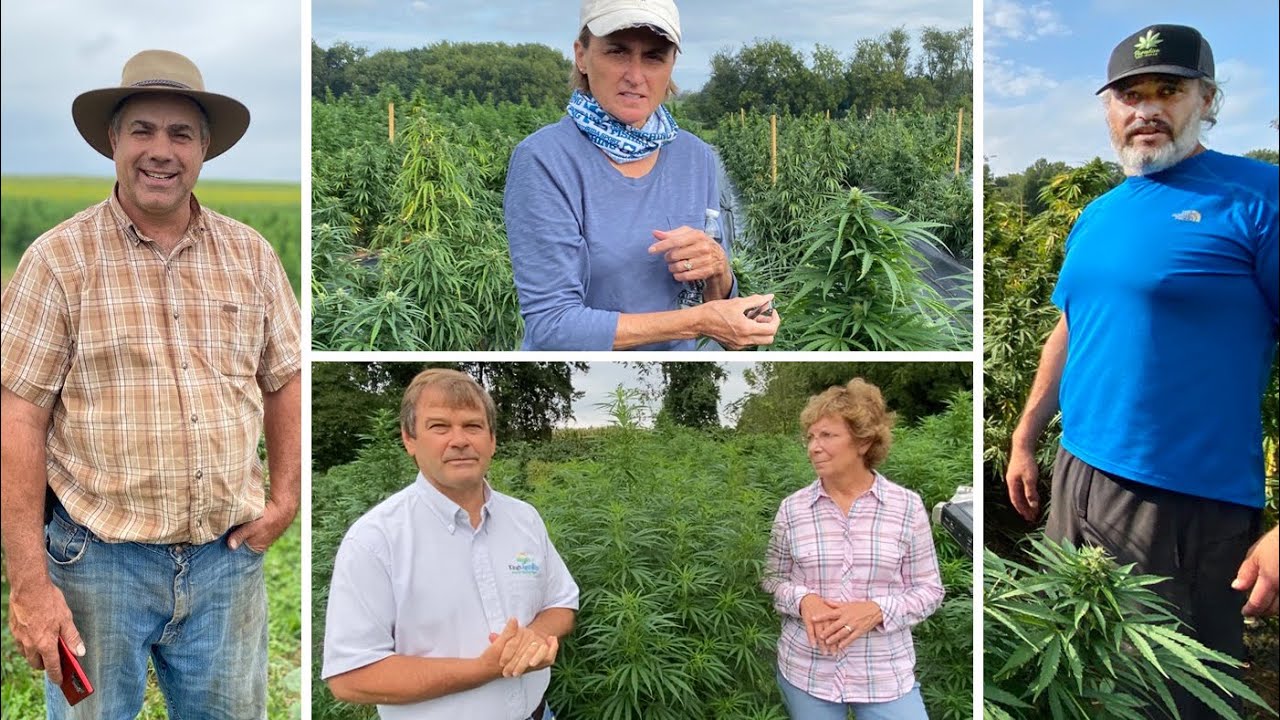 HEMP FARM ROAD TRIP - GROW TIPS FOR 2020 SEASON - YouTube