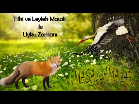 Tilki ile Leylek - Uyku Masalları - Meditatif Masallar - Masallamalar