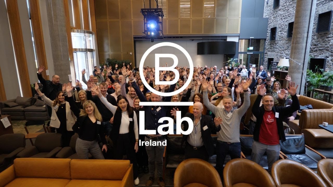 Meet the B Corps Dublin Event Highlight 2024 - YouTube