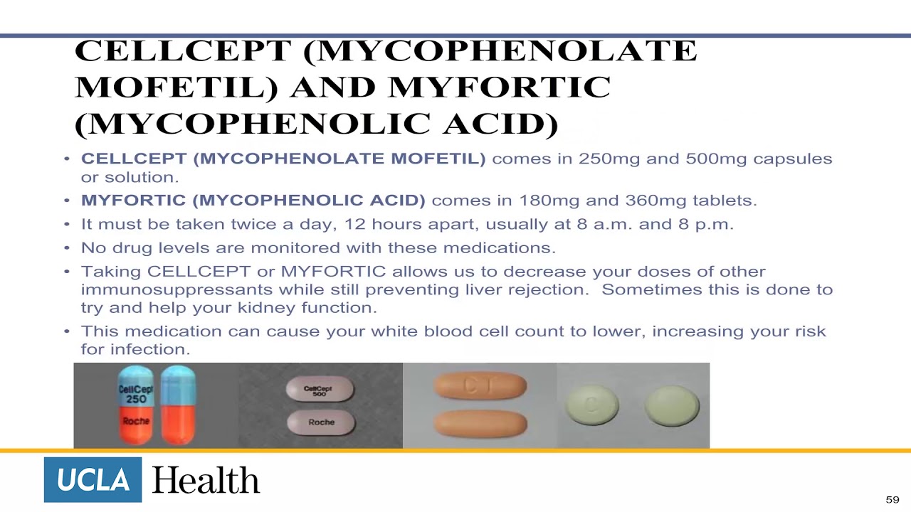 Medication after transplant | UCLA Liver Transplant Services - YouTube