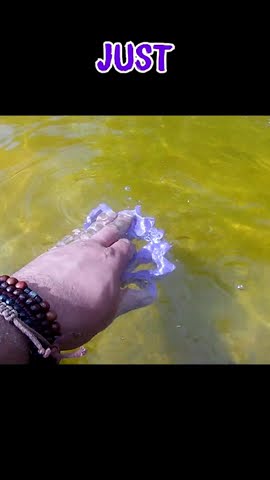 Explore the World of Bee Rafts and Help Save Bees - YouTube
