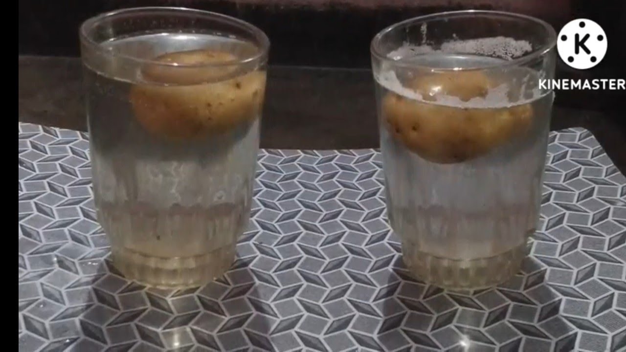 How To potato floating in water 💧 - YouTube