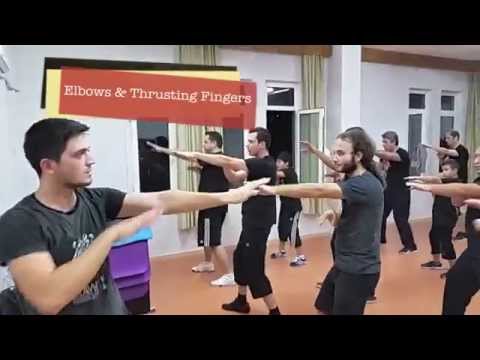 Kaplan Wing-Chun - Elbows & Thrusting Fingers Trai