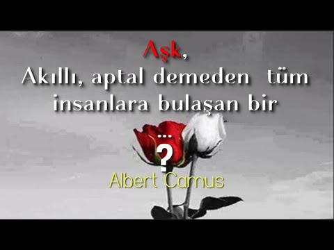 Hafif Acılar Konuşabilir Ama Derin Acılar Dilsizdir... Seneca | Felsefi Sözler