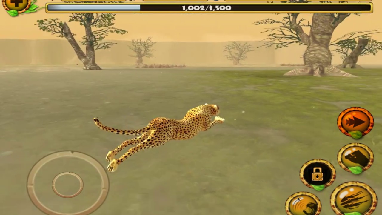 Flying Cheetahs and Zombie Zeebras (Cheetah Simulator) - YouTube