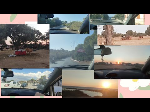 DİDİM ÖĞRETMENLER SİTESİ DİDİM SARI KUM VE BİZİM KULAKCI KOYU👍❤🤩(Muhteşem Yerler)👌