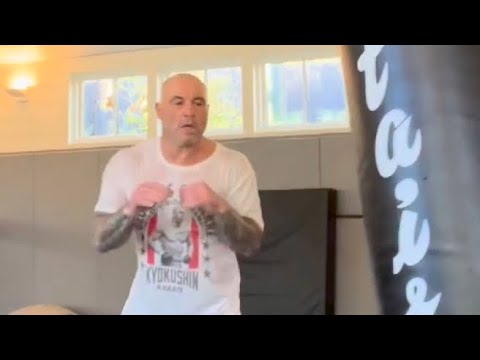 Joe Rogan destroys heavy back with spinning back kicks - YouTube
