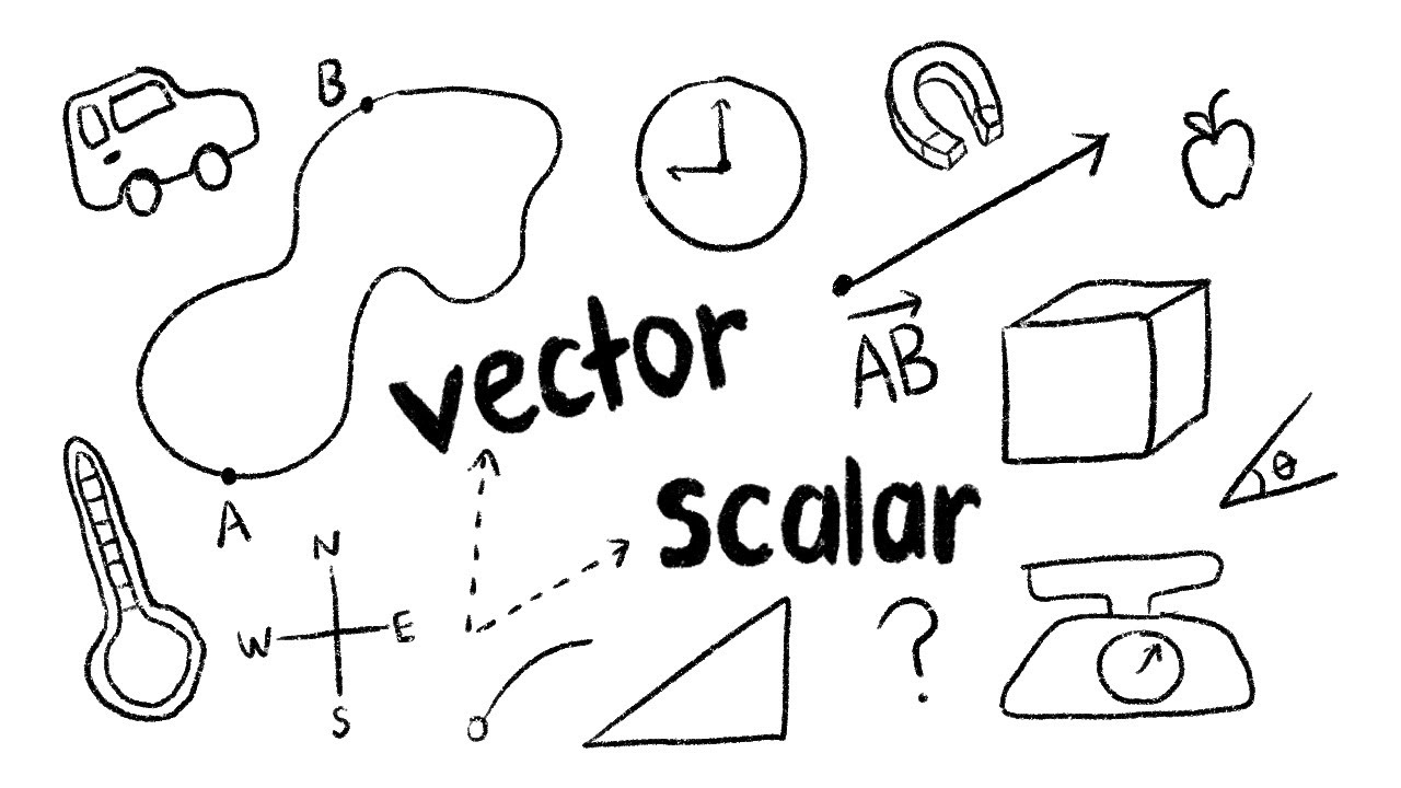 Vectors and Scalars | Physics for Kids - YouTube