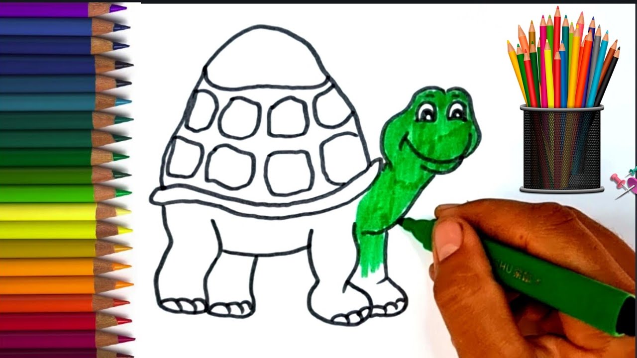 How to draw a turtle || Как нарисовать черепаха || Toshbaqa rasmi ...