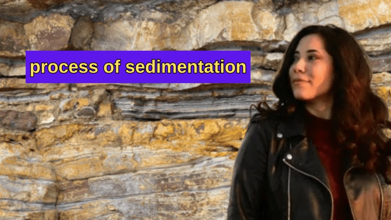 process of sedimentation - formation of process of sedimentation ...