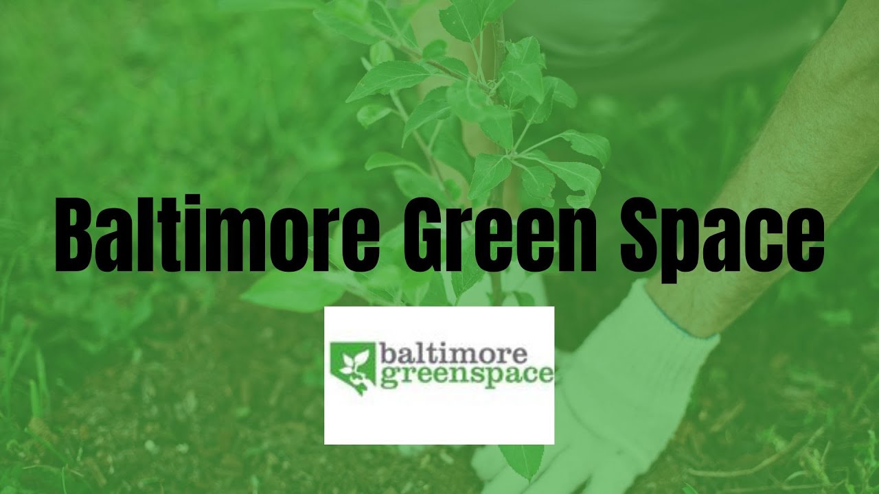 Baltimore Green Space - YouTube