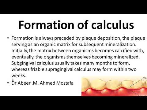 55-Calculus formation - YouTube