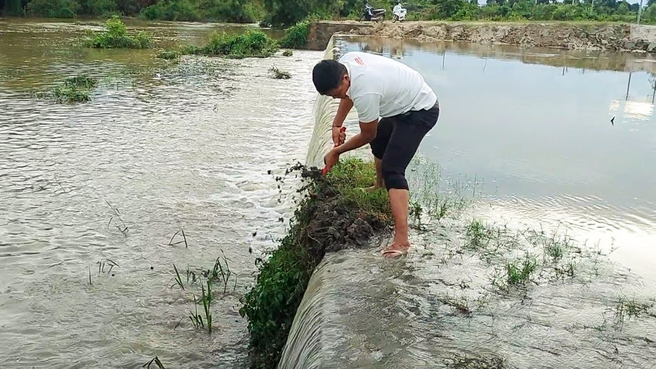Remove Grass Grow On Massive Dam - Clean Dam Drain Water - YouTube