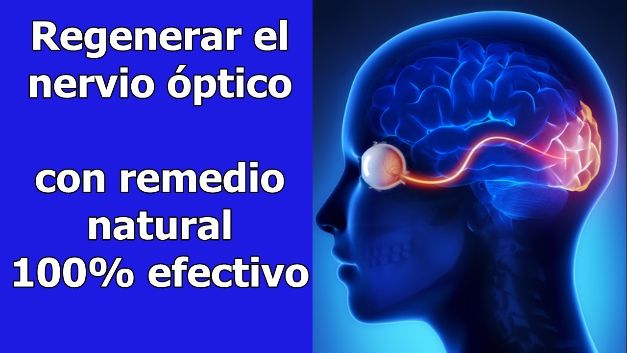 REPARAR Y REGENERAR EL NERVIO ÓPTICO Y TODAS SUS ENFERMEDADES - YouTube