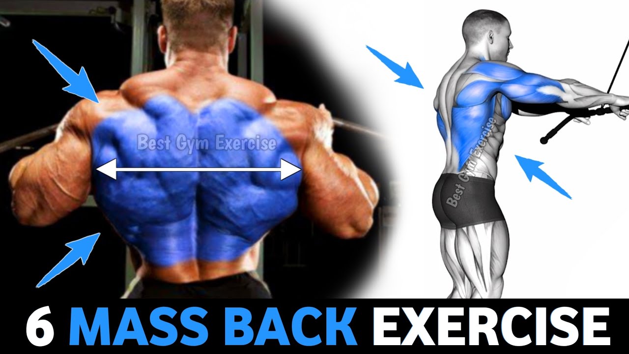 6 Best Back Exercises To Build Muscle Faster YouTube 6 Best Back Exercises To Build Muscle Faster YouTube