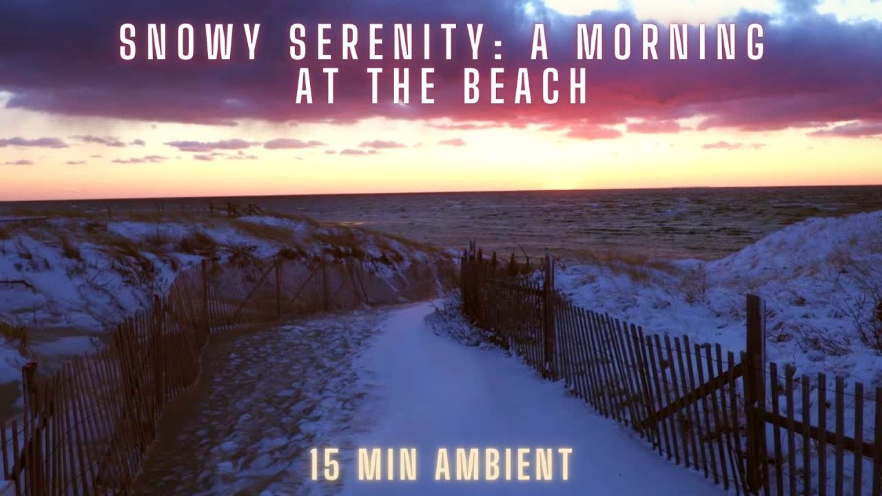 Snowy Serenity: A Morning at the Beach | 15 Min Ambience - YouTube