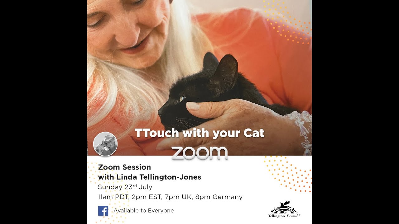 TTouch for Cats! - YouTube