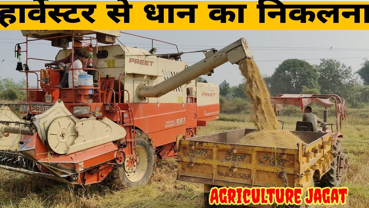 harvesting faculty/paddy advanta 837+ harvesting/837+ADVANTA/PAC 837ka ...